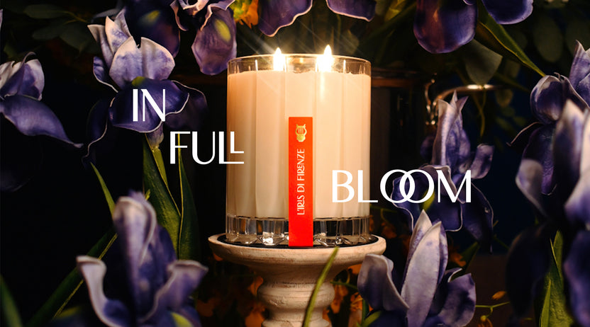 Apollo Candles New York